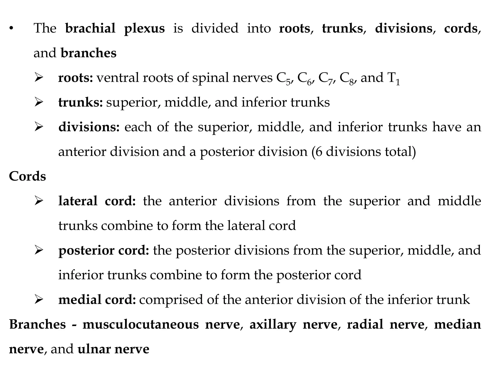Spinal Nerves in nervous system in physiology | PPTX