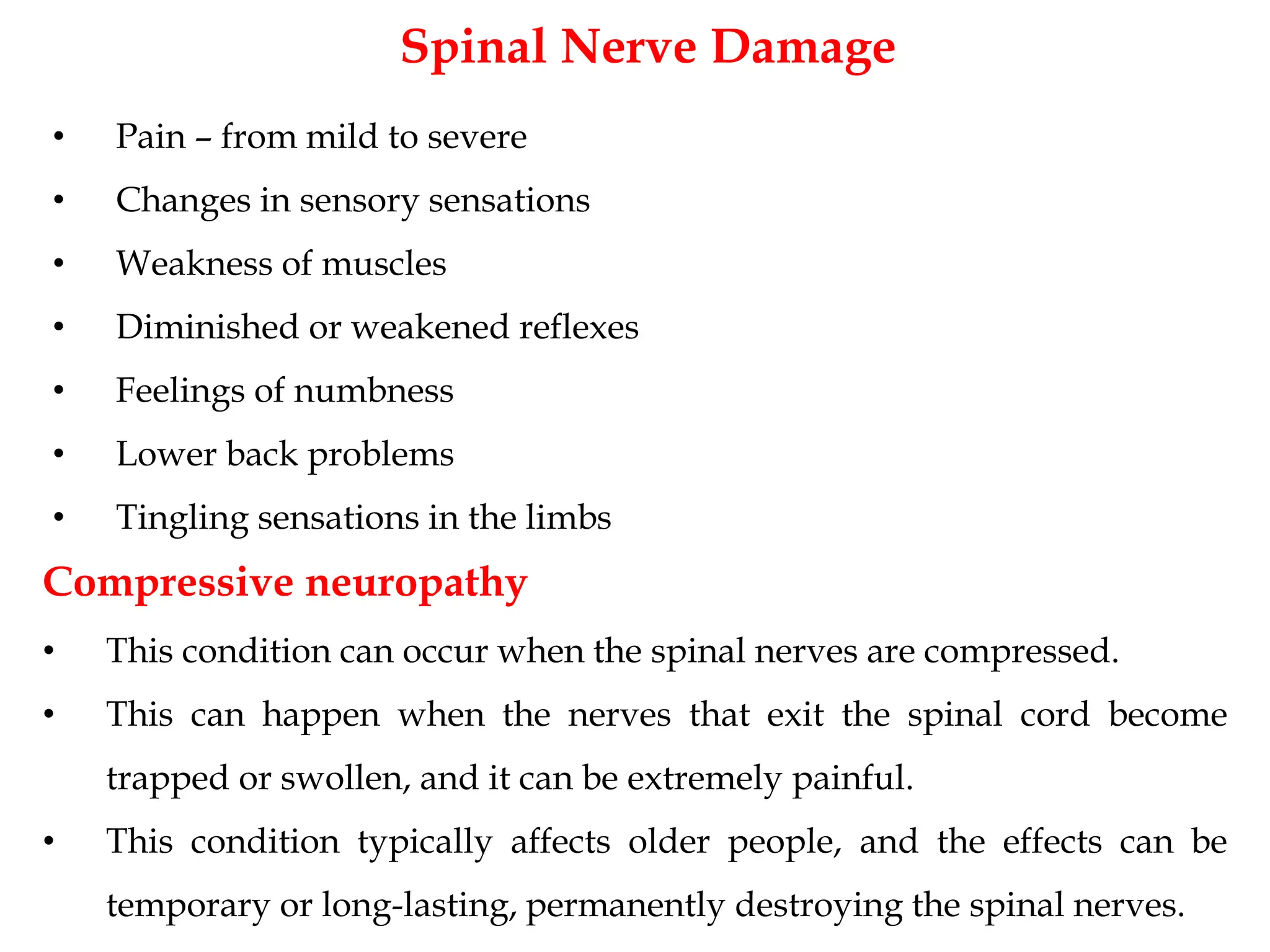 Spinal Nerves in nervous system in physiology | PPTX