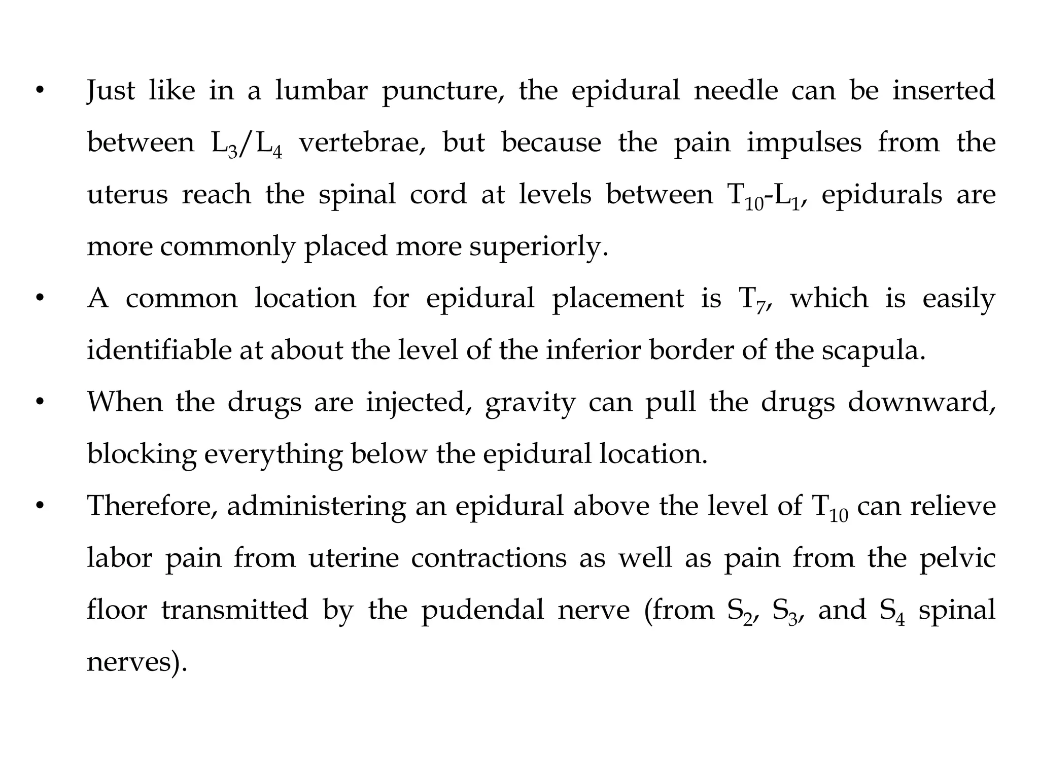 Spinal Nerves in nervous system in physiology | PPTX