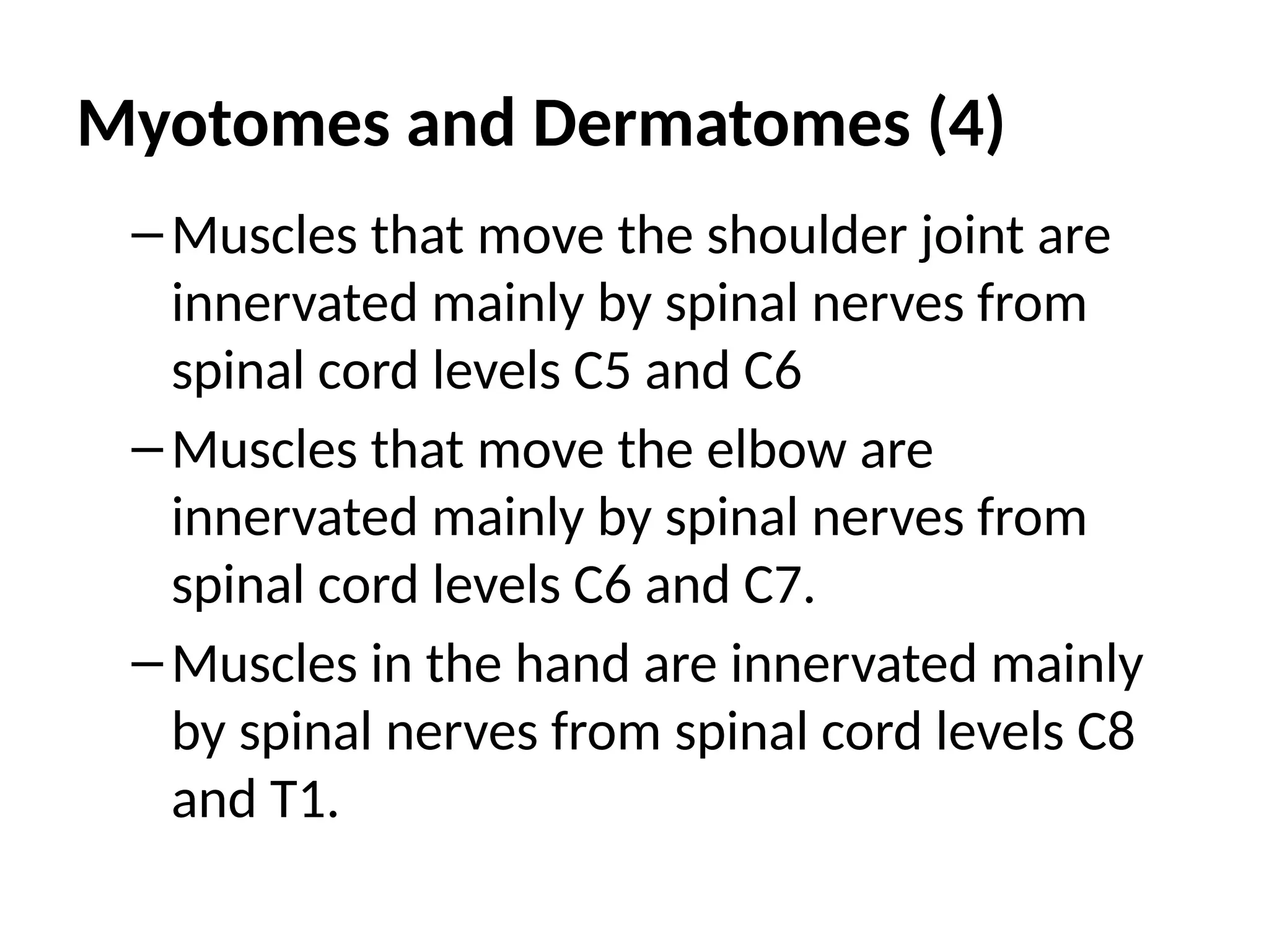 Spinal Nerves.pptxpresentation anatomy level 4 | PPTX