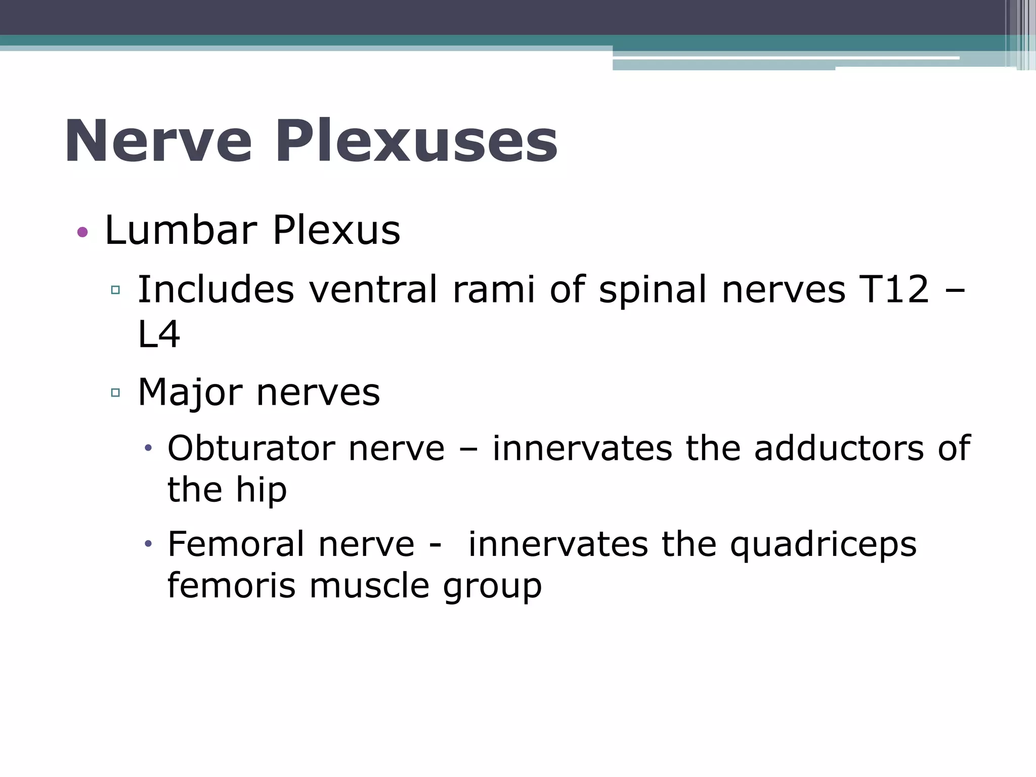 Spinal nerves and spinal plexuses cdp final | PPTX