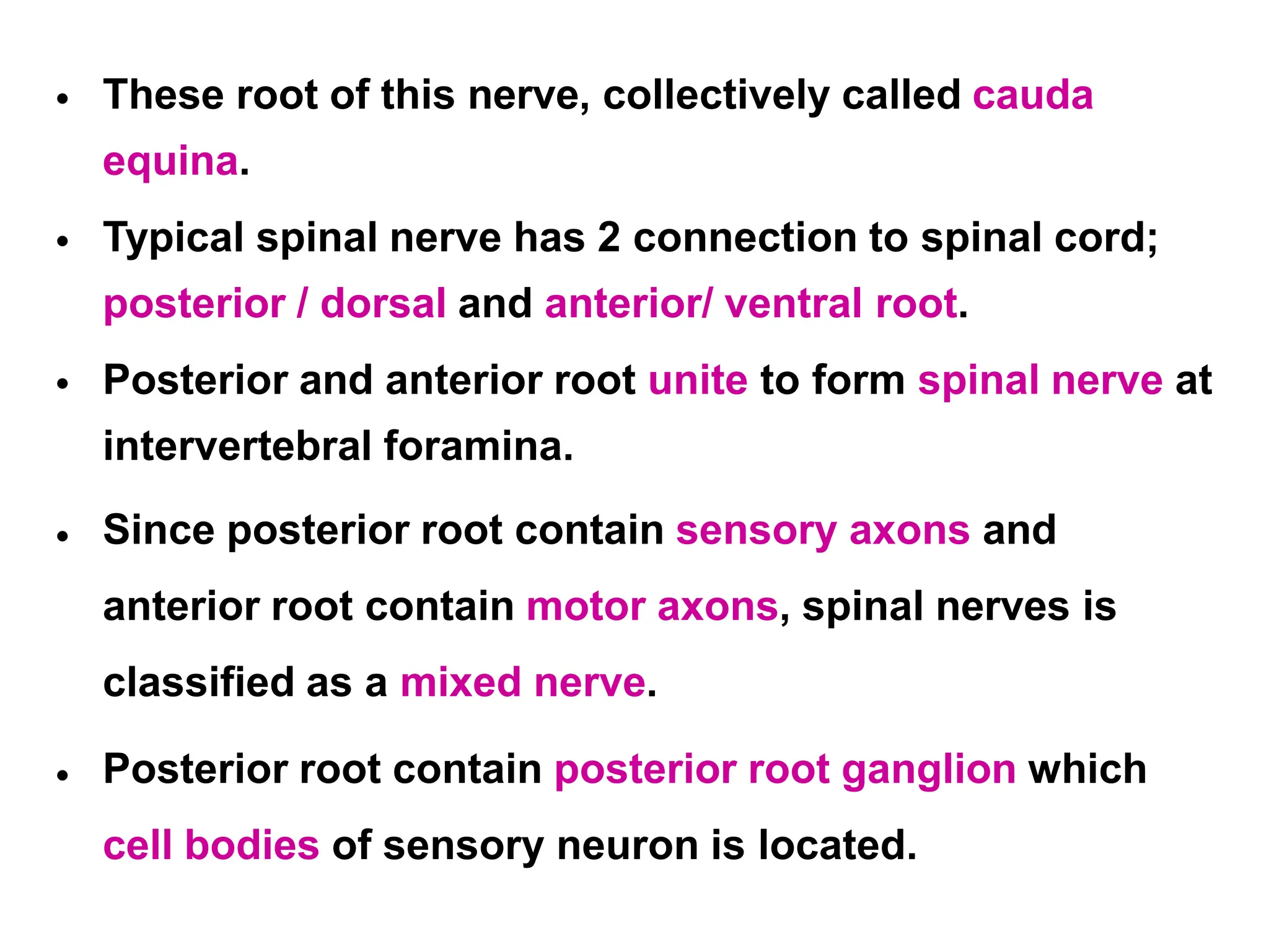 Anatomy - classification of spinal nerves .pptx