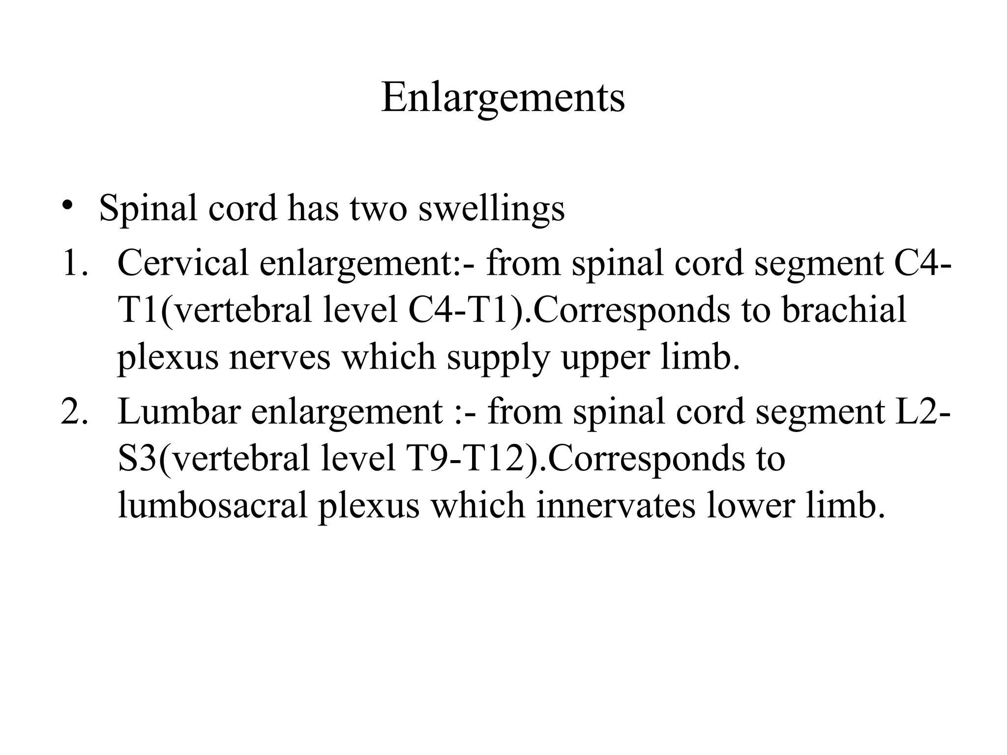 Spinal Nerves Presentation Anatomy and Physiology | PPTX