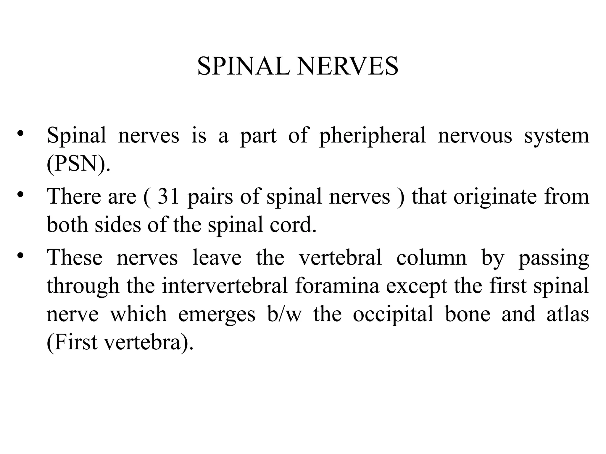 Spinal Nerves Presentation Anatomy and Physiology | PPTX