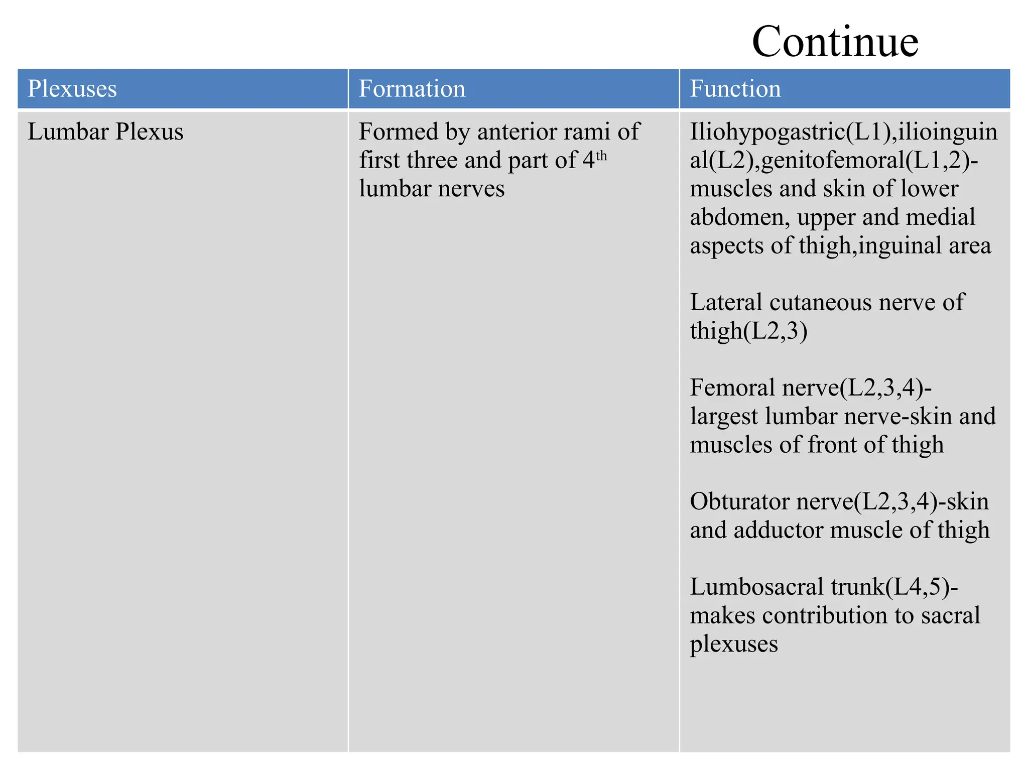 Spinal Nerves Presentation Anatomy and Physiology | PPTX