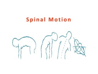 Spinal orthosis | PPTX