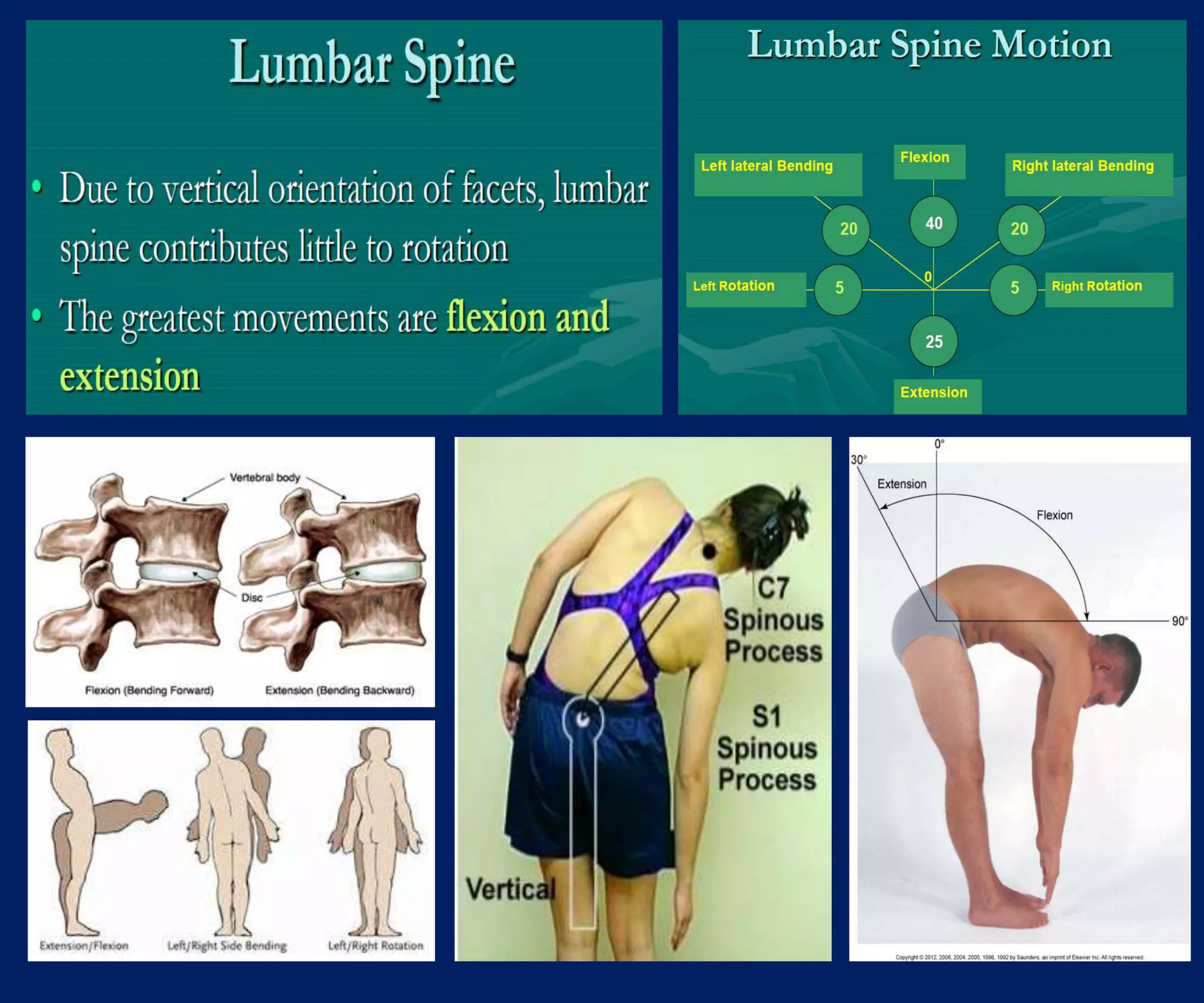 Spinal orthosis dr.aliaa | PPTX