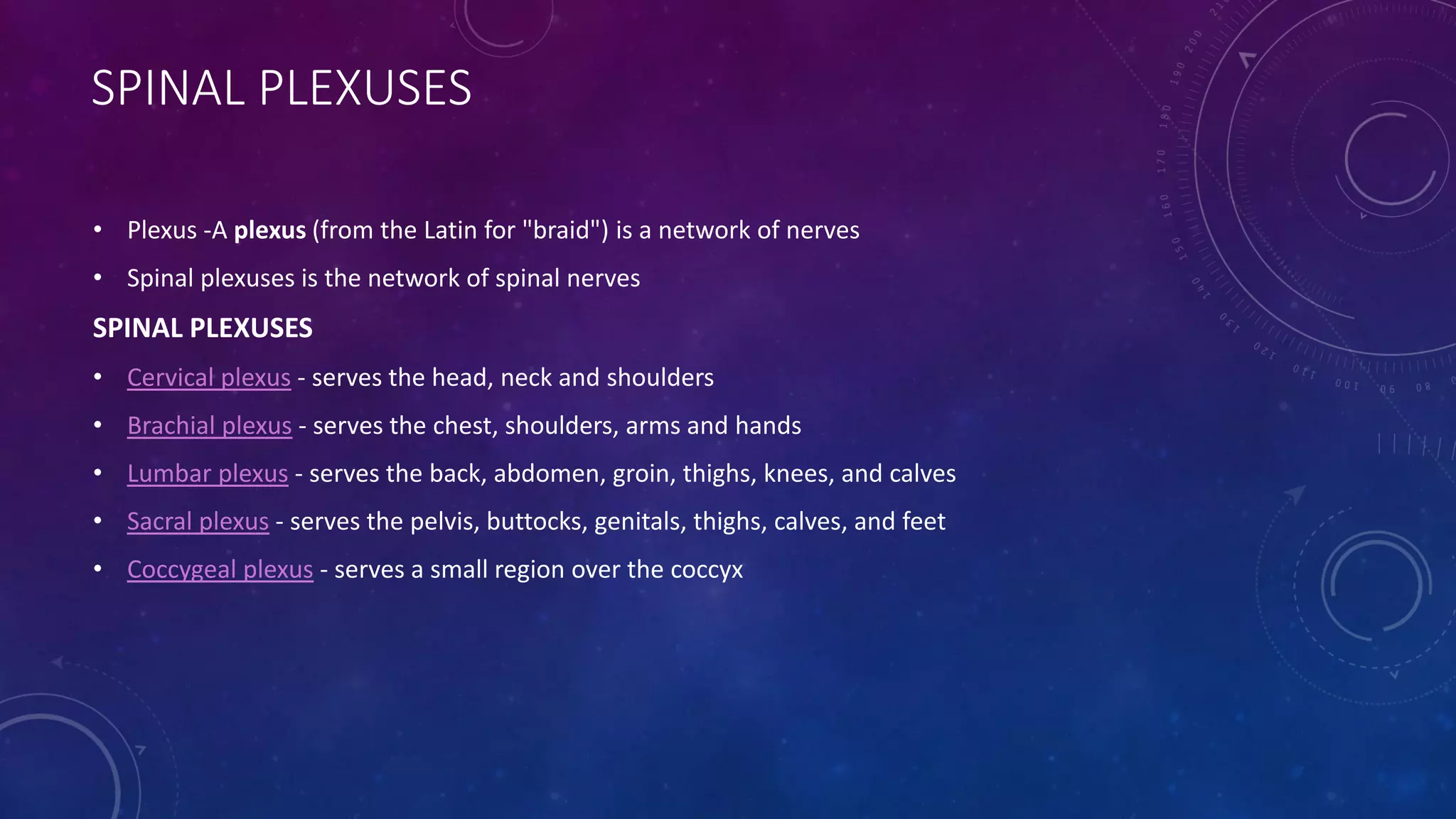 Spinal plexuses | PDF