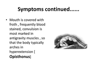 Spinal poisons | PPTX | Chemistry | Science