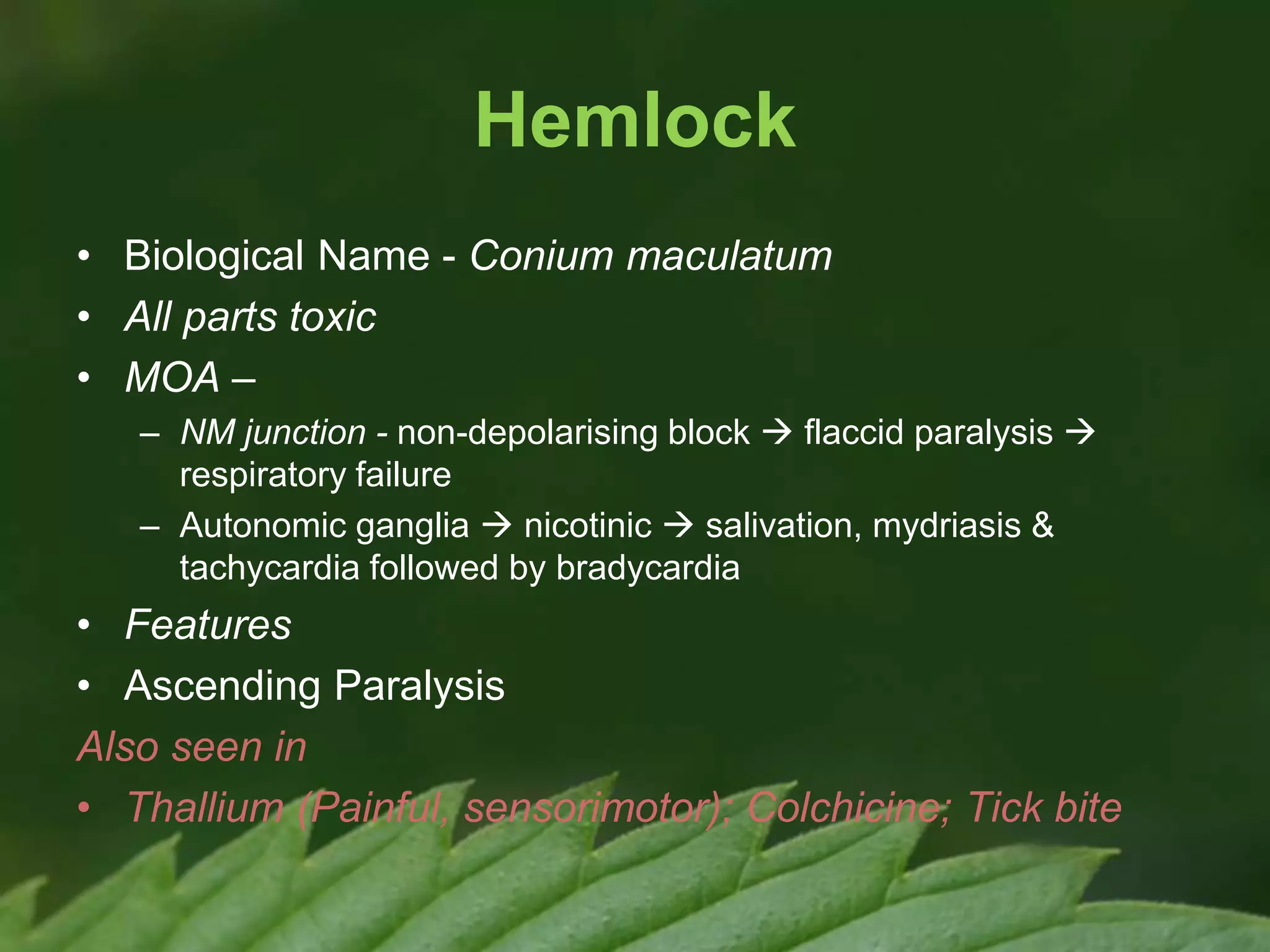 Spinal poisons | PPTX