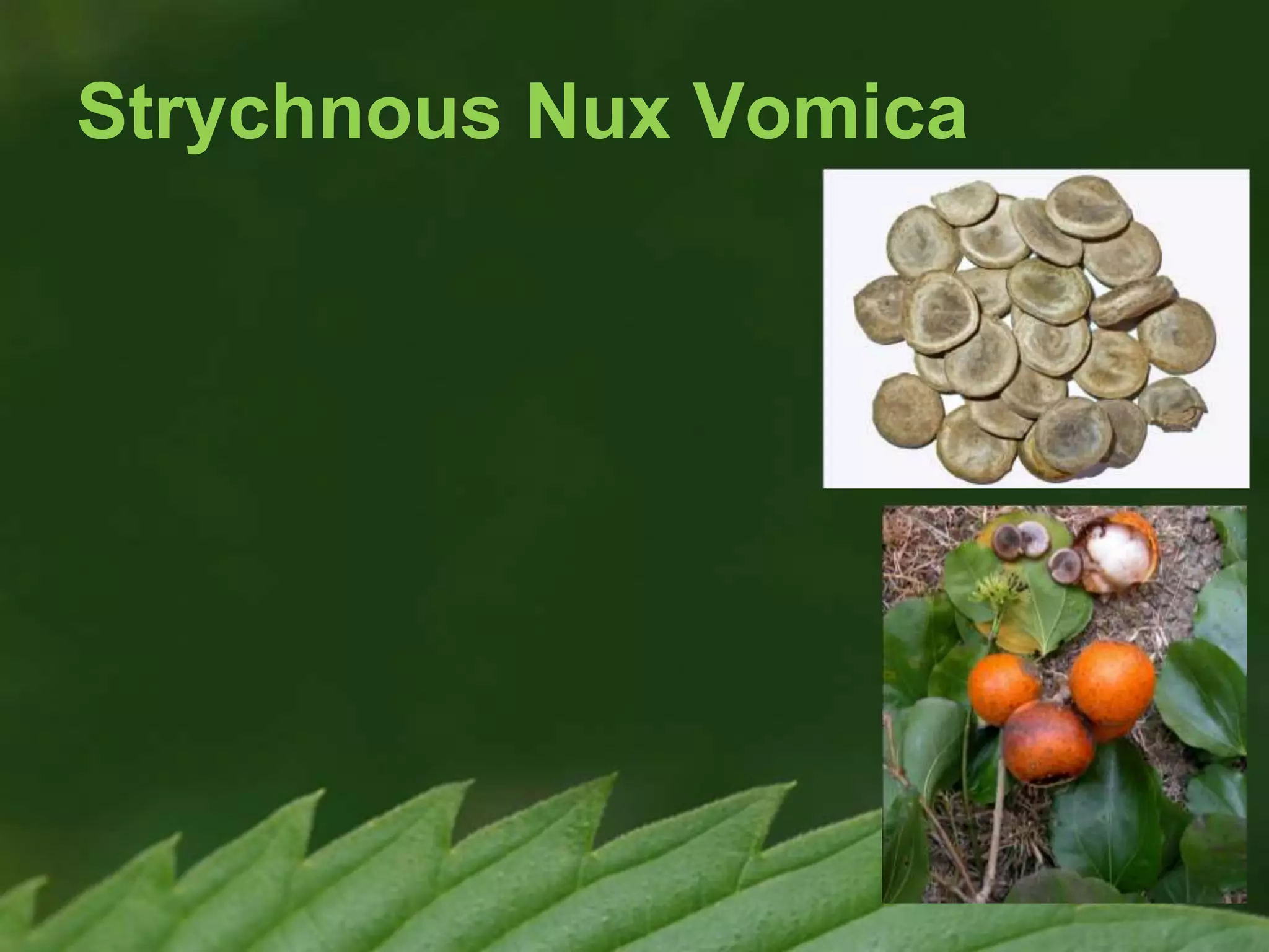 Spinal poisons | PPTX