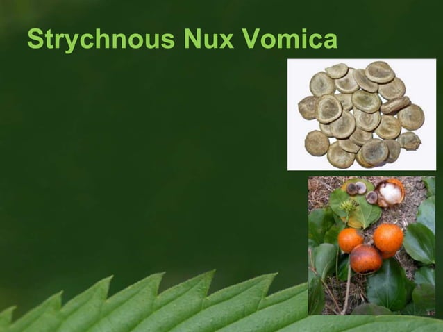 Spinal poisons | PPTX | Chemistry | Science