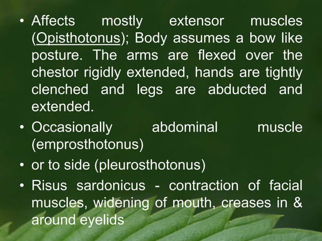 Spinal poisons | PPTX | Chemistry | Science