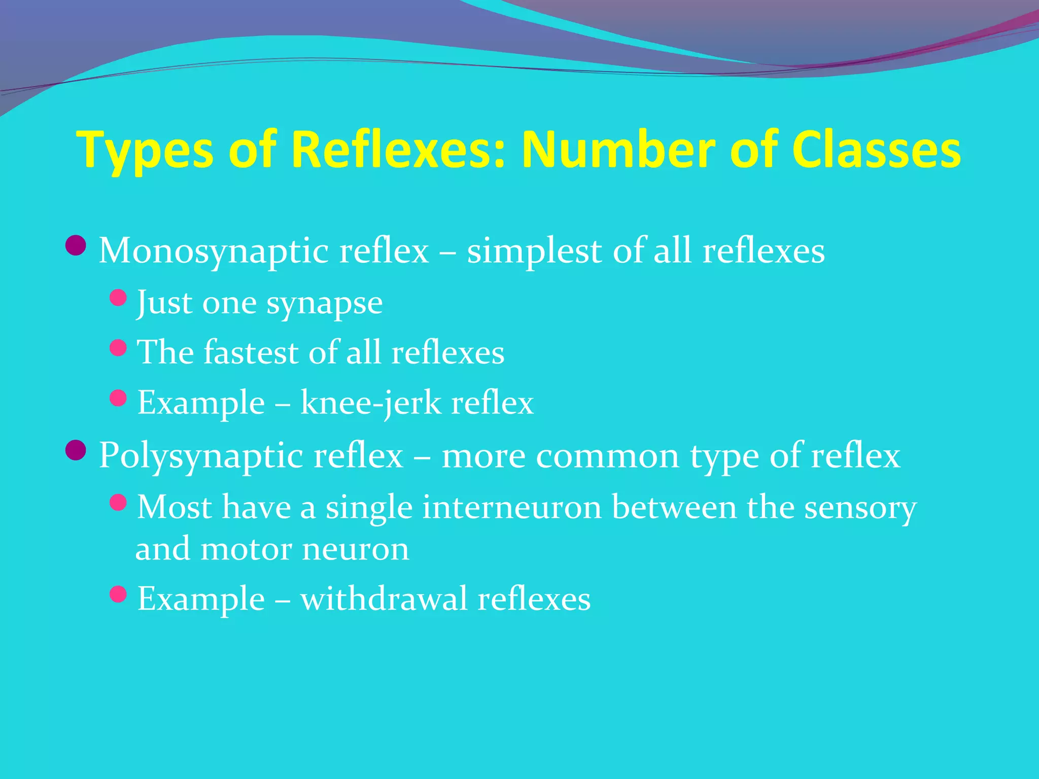 Spinal reflexes 9- | PPT
