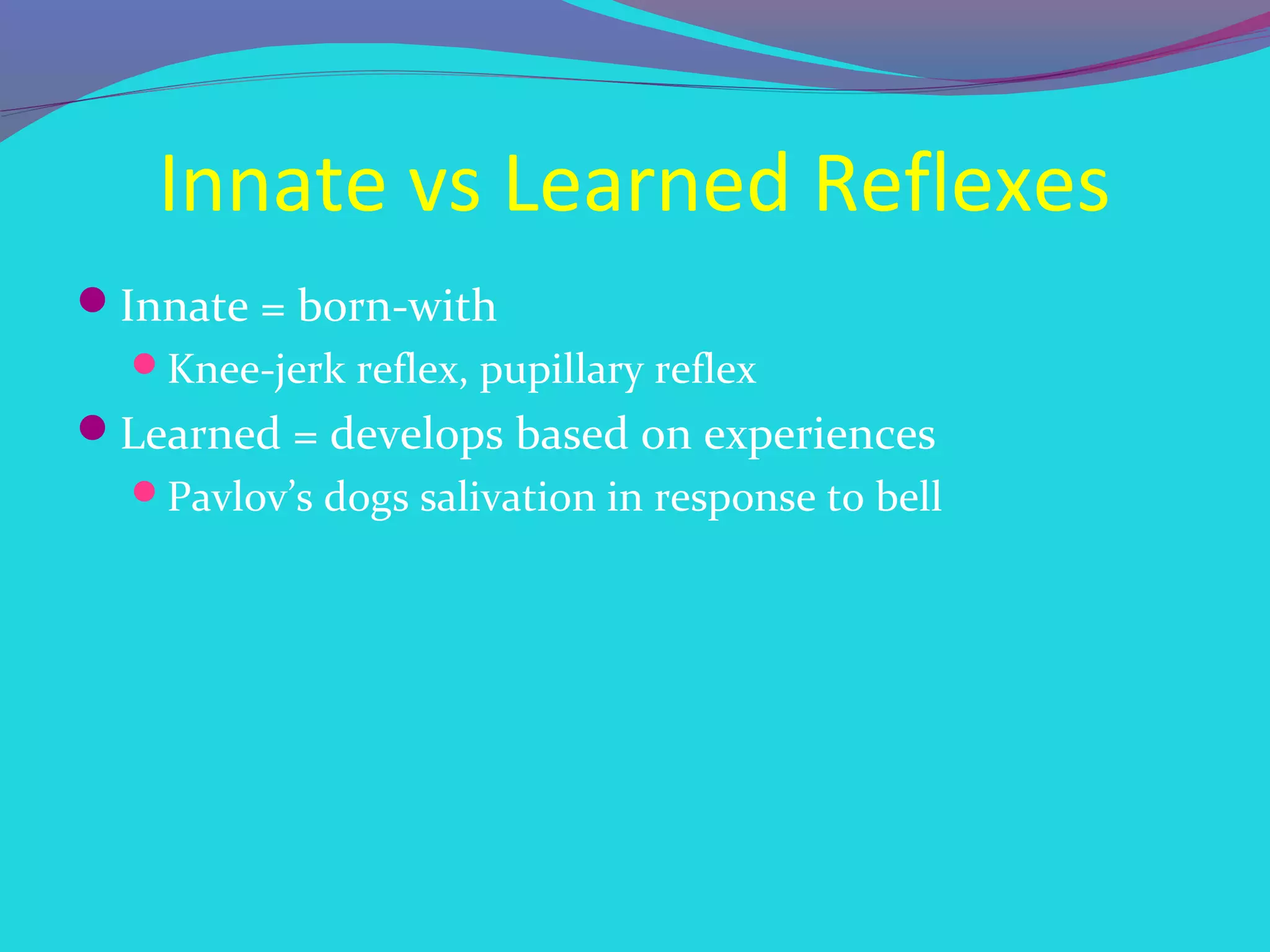 Spinal reflexes 9- | PPT