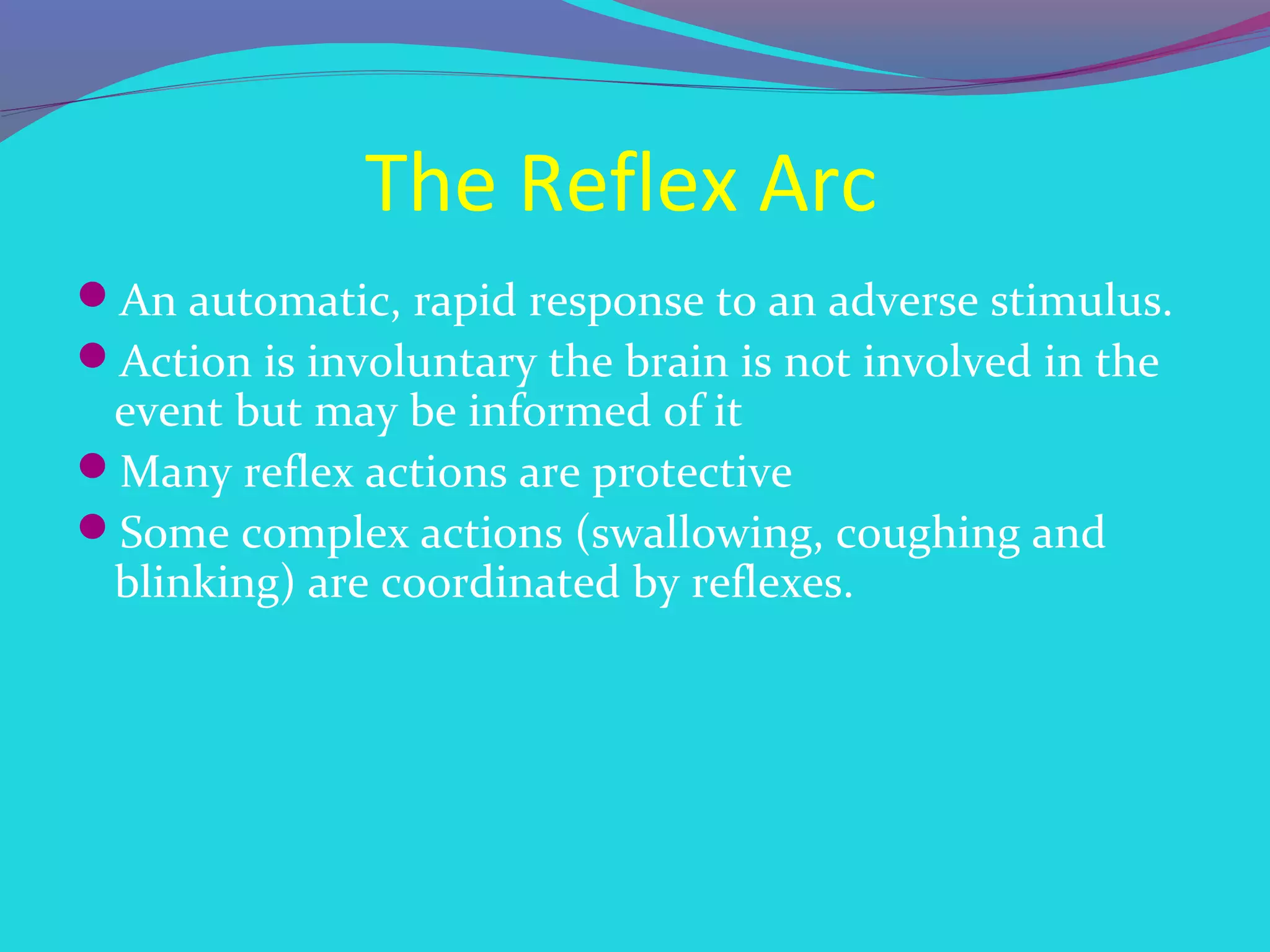 Spinal reflexes 9- | PPT
