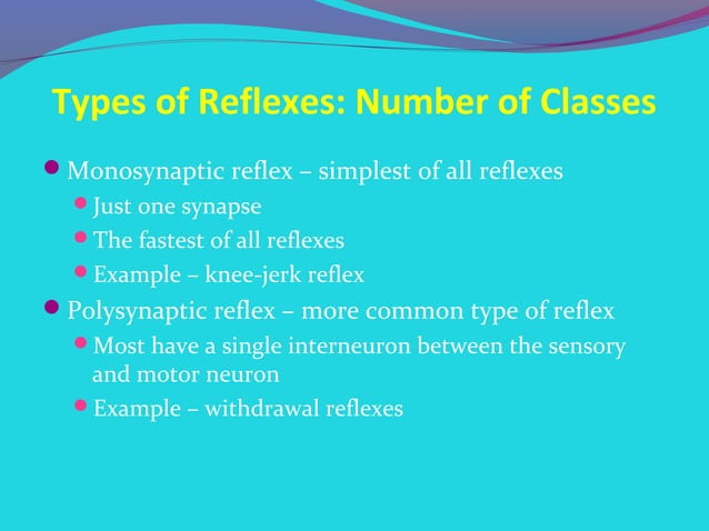 Spinal reflexes 9- | PPT | Free Download