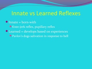 Spinal reflexes 9- | PPT