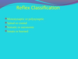 Spinal reflexes 9- | PPT