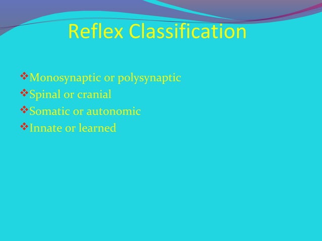 Spinal reflexes 9- | PPT
