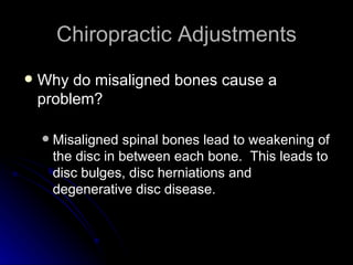Spinal Revival | PPT