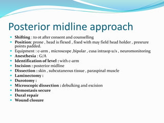 Spinal schwannoma(case presentation) dr.mumtaz ali | PPTX