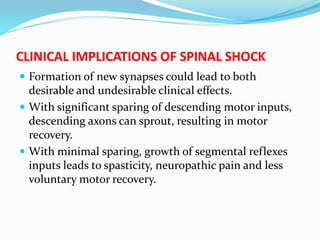 Spinal shock | PPTX
