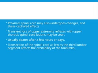 spinal shock vs neurogenic shock (1).pptx