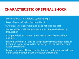 spinal shock vs neurogenic shock (1).pptx