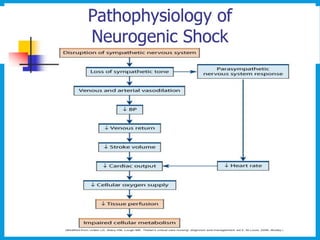 spinal shock vs neurogenic shock (1).pptx