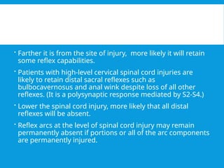 spinal shock vs neurogenic shock (1).pptx