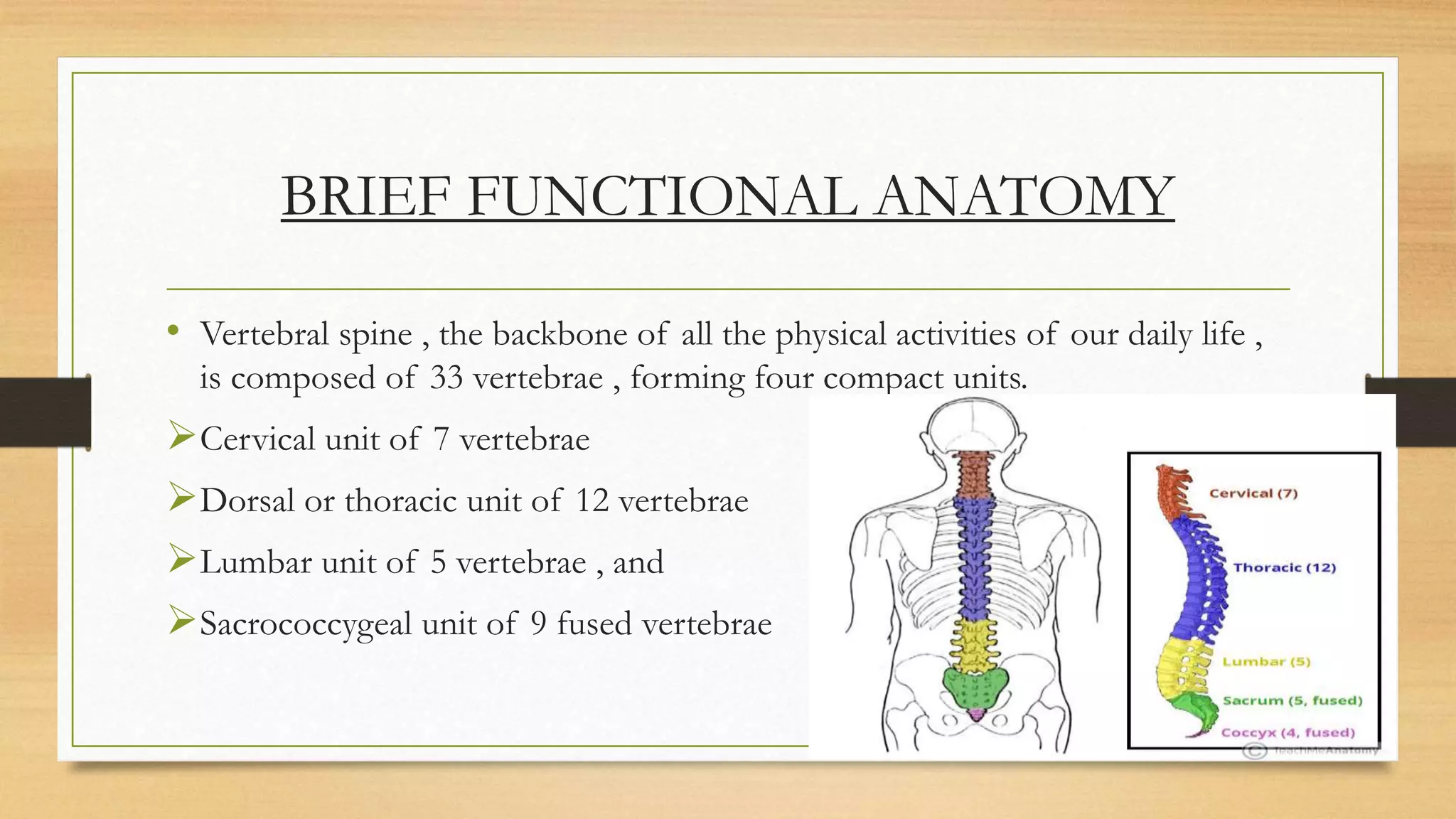 SPINAL STABILIZATION PPT | PPTX