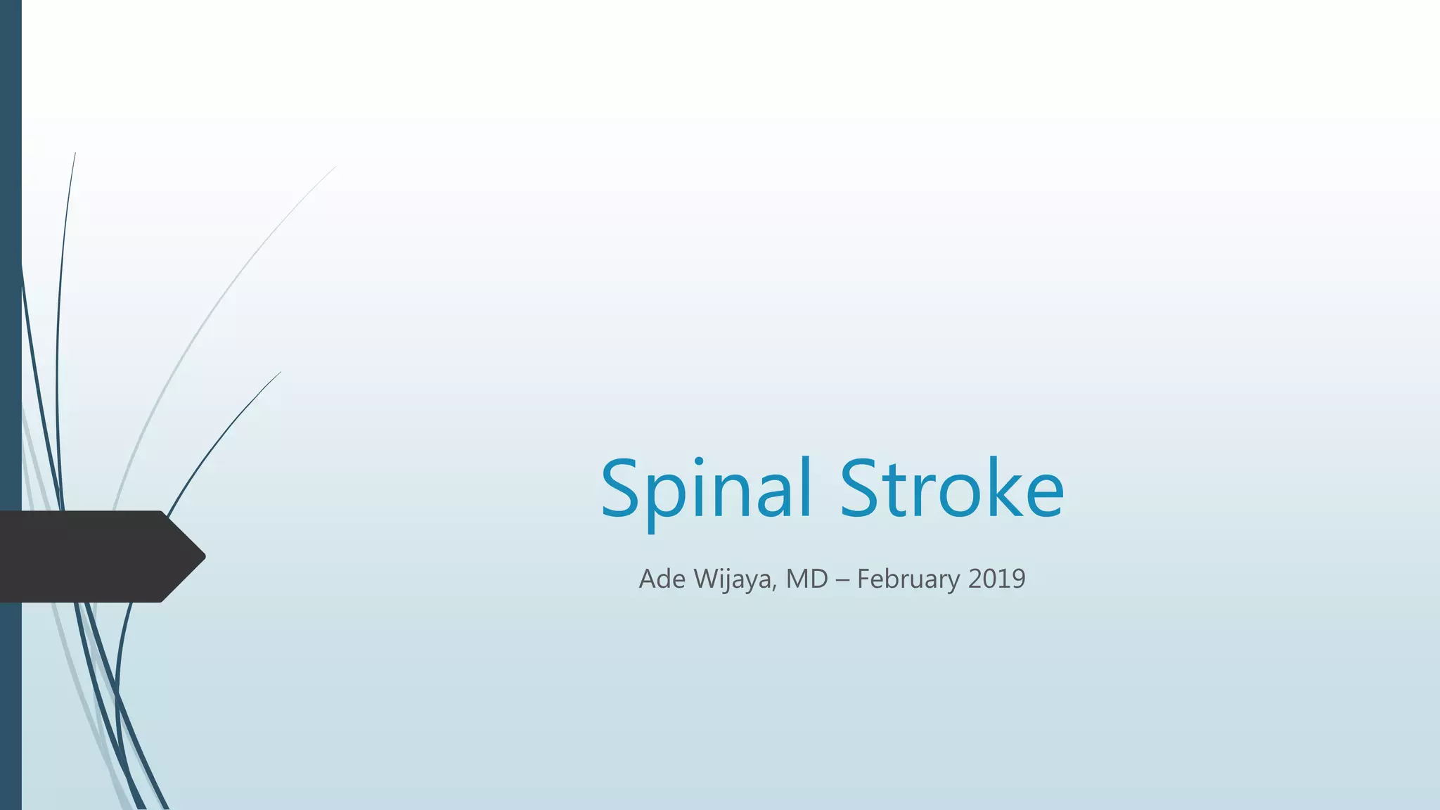 Spinal stroke | PPTX | Brain and Nervous System Disorders | Diseases ...