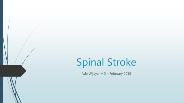 Spinal stroke | PPTX | Brain and Nervous System Disorders | Diseases ...