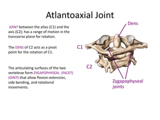 Spinal syndromes omt treatment.pptx