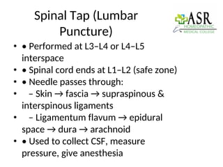 Spinal Tap and Cord Lesions by Lusritha asr | PDF