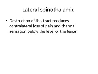 spinal tract...........................ppt