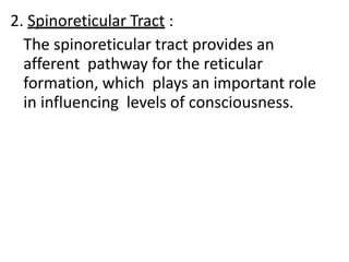 Spinal tracts anatomy dr.meher | PPTX