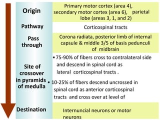 Spinal tracts anatomy dr.meher | PPTX