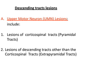 Spinal tracts anatomy dr.meher | PPTX