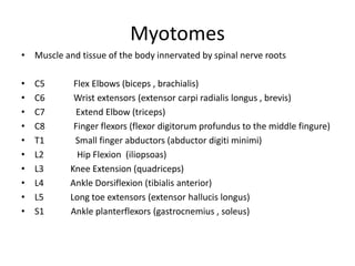 Spinal trauma | PPTX