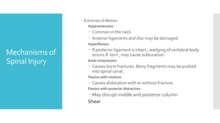 Spinal Trauma (Spinal Cord Injury) | PPTX