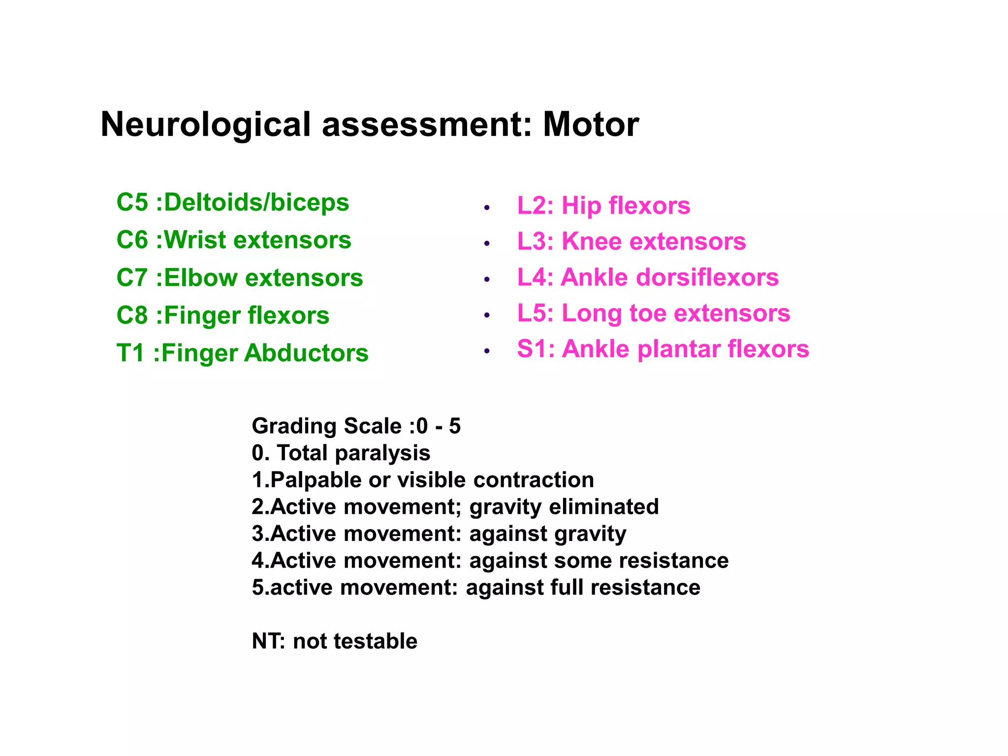 spinal Trauma.ppt