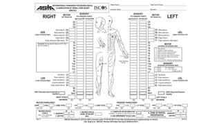 Spinal Trauma (a guide to diagnosis & Treatment) | PDF