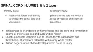 SPINAL TRAUMA ITS ANATOMY AND EMERGENCY MANAGEMENT OF | PPTX