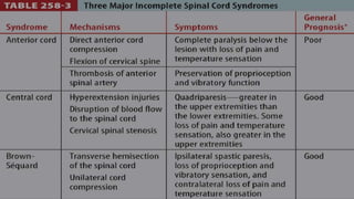SPINAL TRAUMA ITS ANATOMY AND EMERGENCY MANAGEMENT OF | PPTX