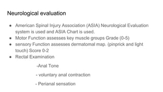 SPINAL TRAUMA ITS ANATOMY AND EMERGENCY MANAGEMENT OF | PPTX