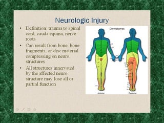 Spinal Trauma.pot of water in the water and | PPT