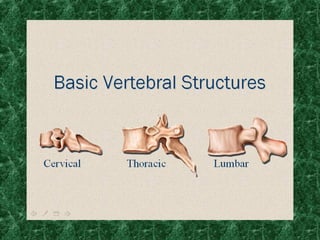 Spinal Trauma.pot of water in the water and | PPT