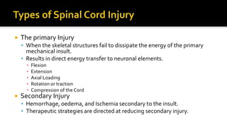 Spinal trauma wo anatomy | PPTX